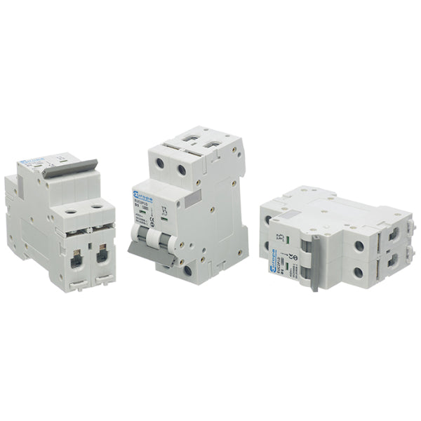 Europa EUC2P10D MCB DP D Curve 10A 10kA – BEMCO Outlet